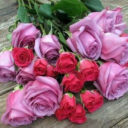 Пазл Розы — собрать пазл онлайн