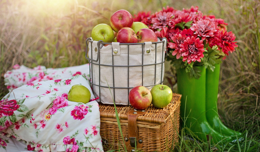 Пазл «Яблоки» из 170 элементов | Собрать онлайн пазл №232570