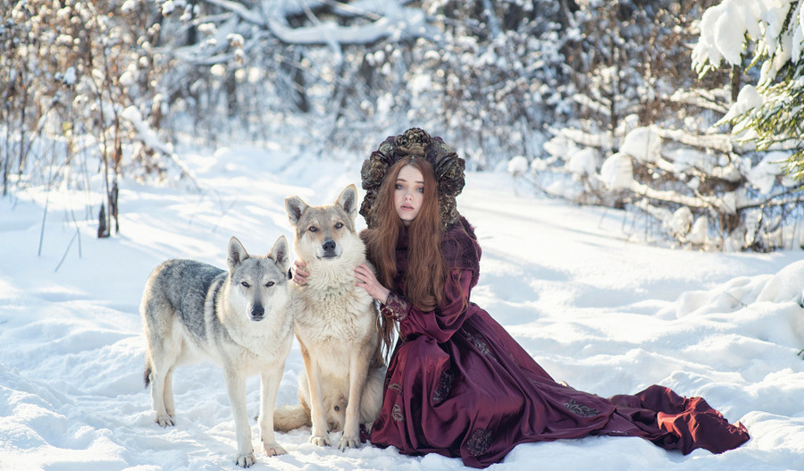 Пазл «Волки» из 170 элементов | Собрать онлайн пазл №236606