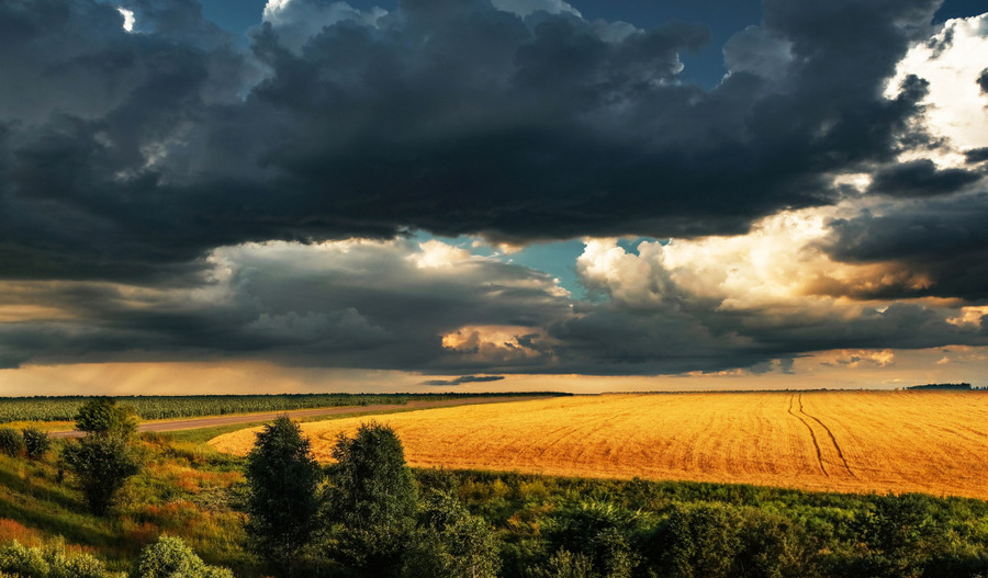 Пазл «Тучи над полями» из 170 элементов | Собрать онлайн пазл №243567