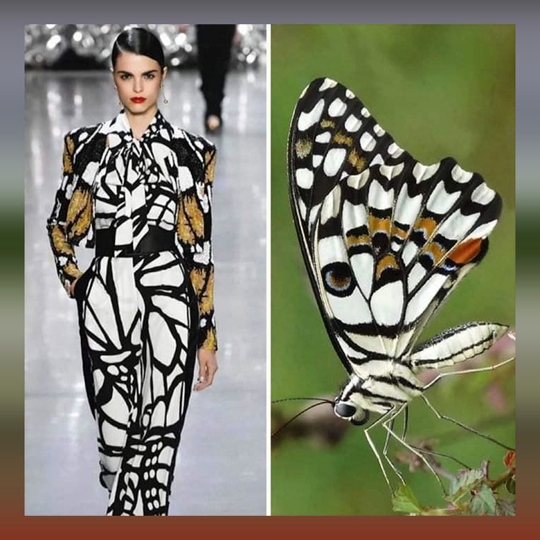 Пазл «Мода и природа» из 169 элементов | Собрать онлайн пазл №274034