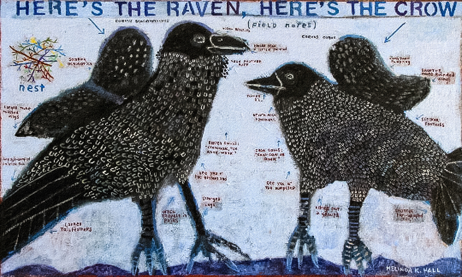 Пазл «Ворон и ворона» из 375 элементов | Собрать онлайн пазл №276302