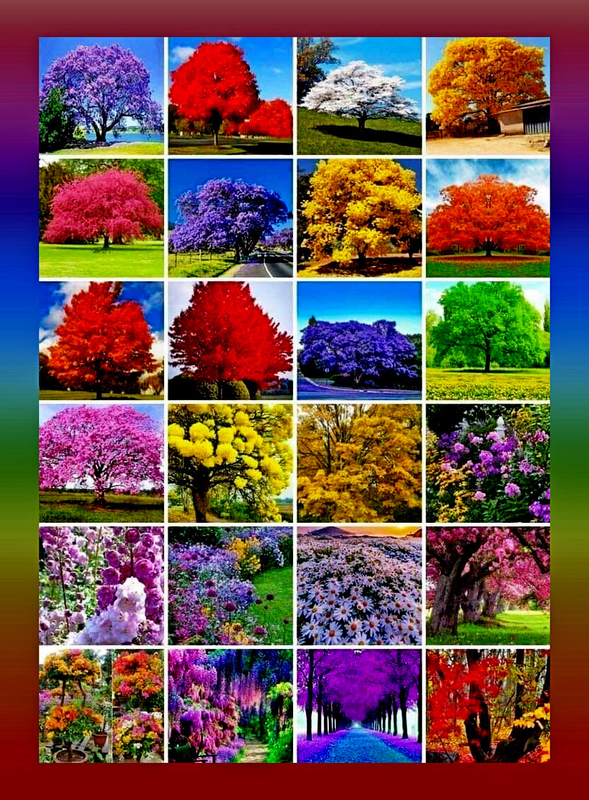 Пазл «Красота природы» из 266 элементов | Собрать онлайн пазл №277610