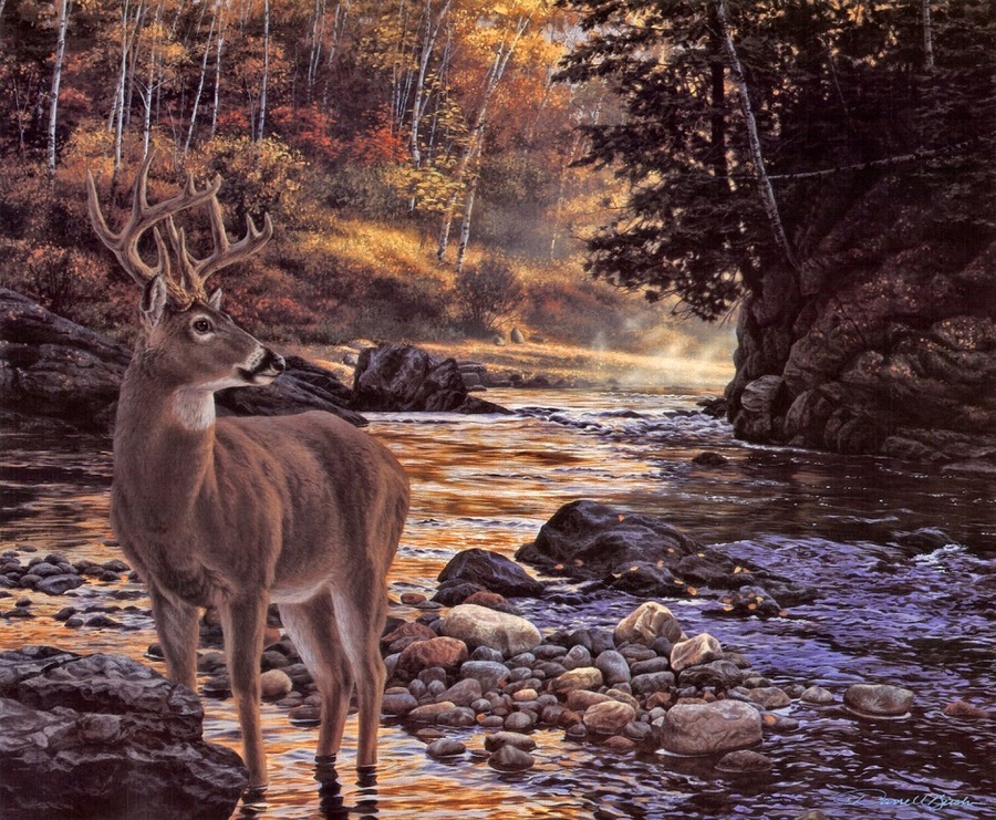 Пазл «Молодой олень» из 238 элементов | Собрать онлайн пазл №278115