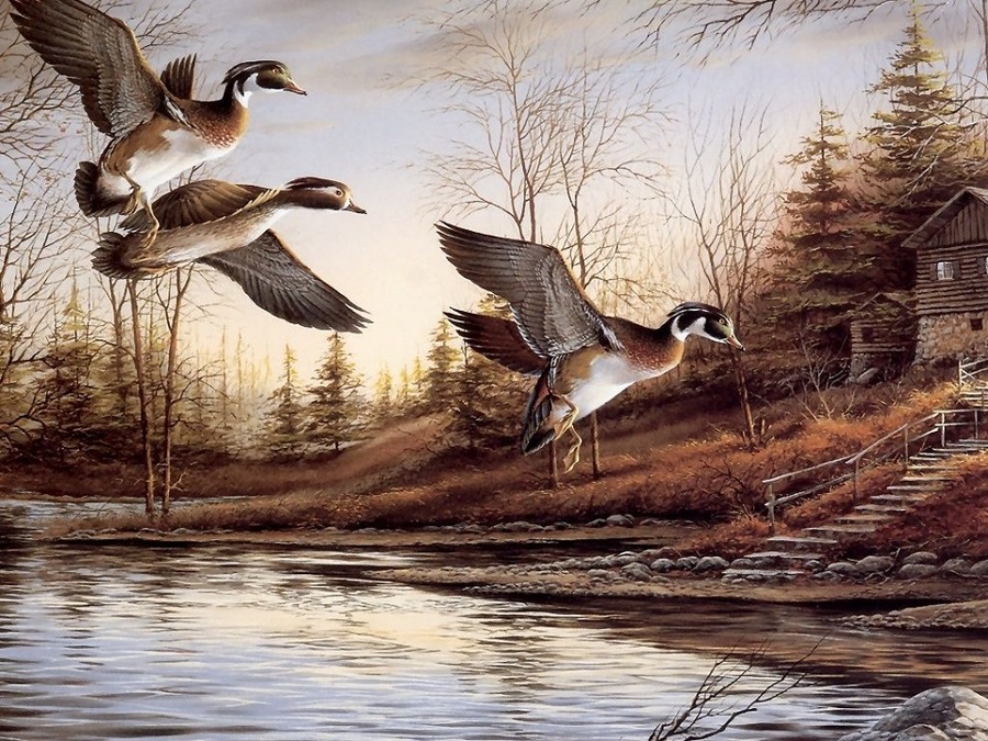 Пазл «В полете» из 192 элементов | Собрать онлайн пазл №278141