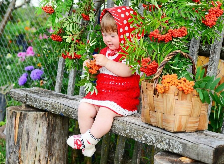 Пазл «Рябинка» из 234 элементов | Собрать онлайн пазл №278494