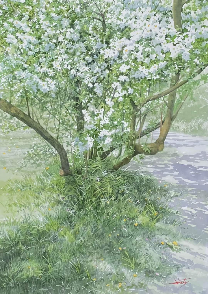 Пазл «Вишневый цвет» из 192 элементов | Собрать онлайн пазл №280469