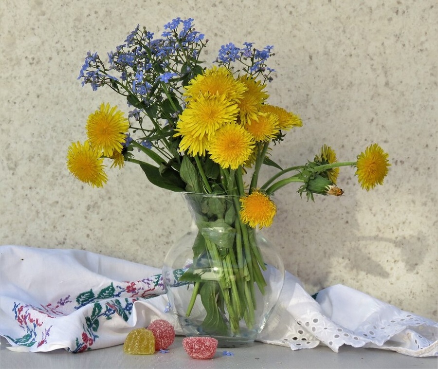 Пазл «Одуванчики» из 180 элементов | Собрать онлайн пазл №280882