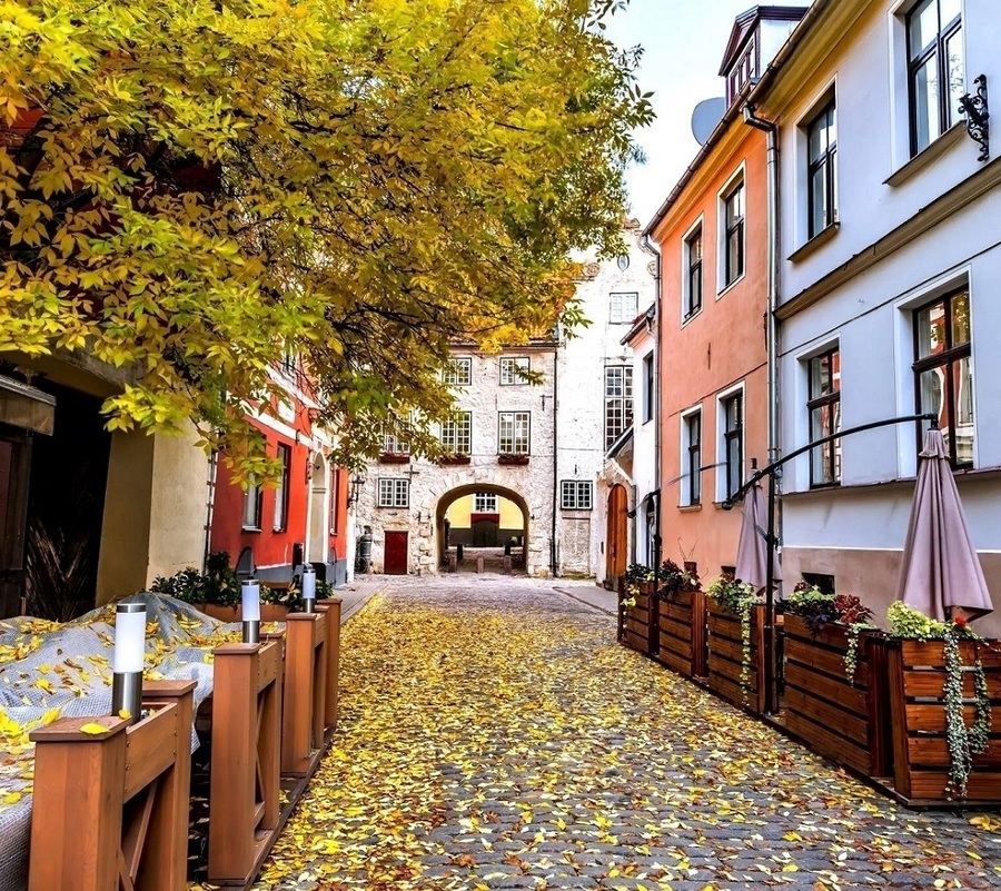 Пазл «Путешествие по миру» из 288 элементов | Собрать онлайн пазл №286578