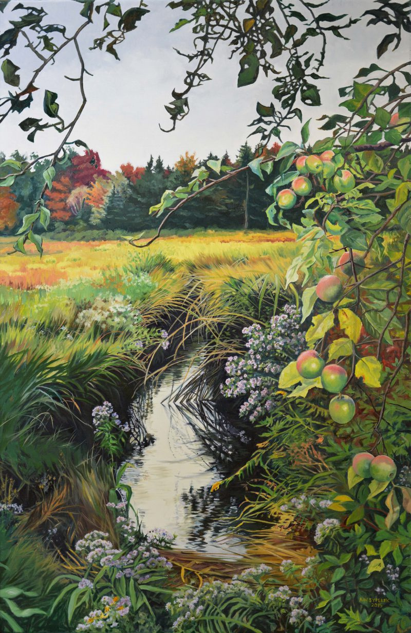 Пазл «Ручей» из 260 элементов | Собрать онлайн пазл №288175