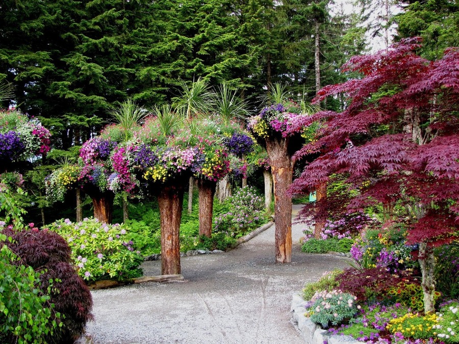 Пазл «Ботанический сад» из 300 элементов | Собрать онлайн пазл №300307