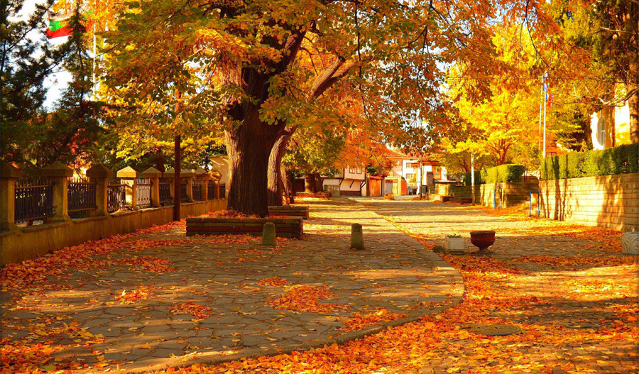 Пазл «Осенний парк» из 170 элементов | Собрать онлайн пазл №311114