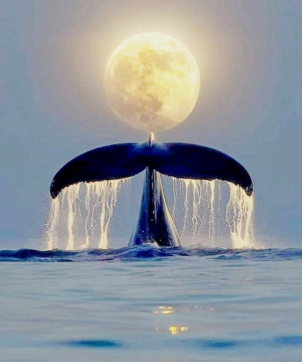 Пазл «Кадр» из 120 элементов | Собрать онлайн пазл №312651