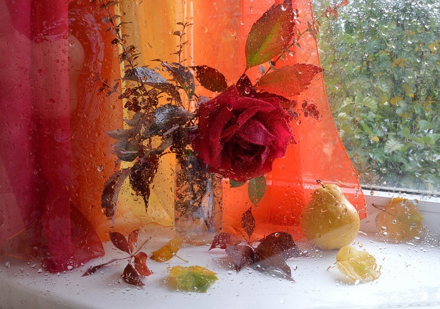 Пазл «Осенние фантазии » из 204 элементов | Собрать онлайн пазл №313365