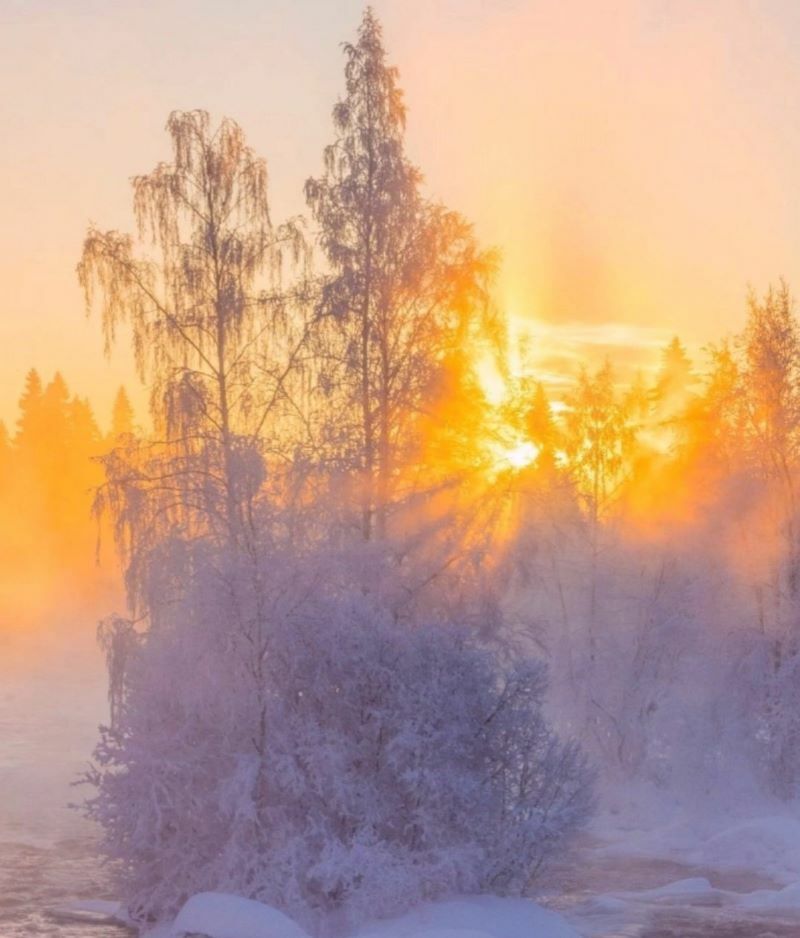 Пазл «Зимнее солнце» из 195 элементов | Собрать онлайн пазл №332627
